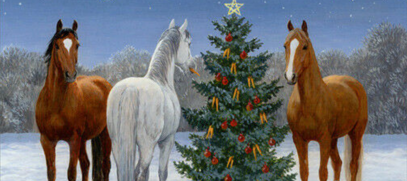 Wild Fed Horse