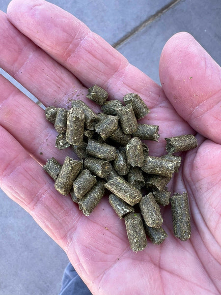 Wild Fed Horse Feed Premium Organic
