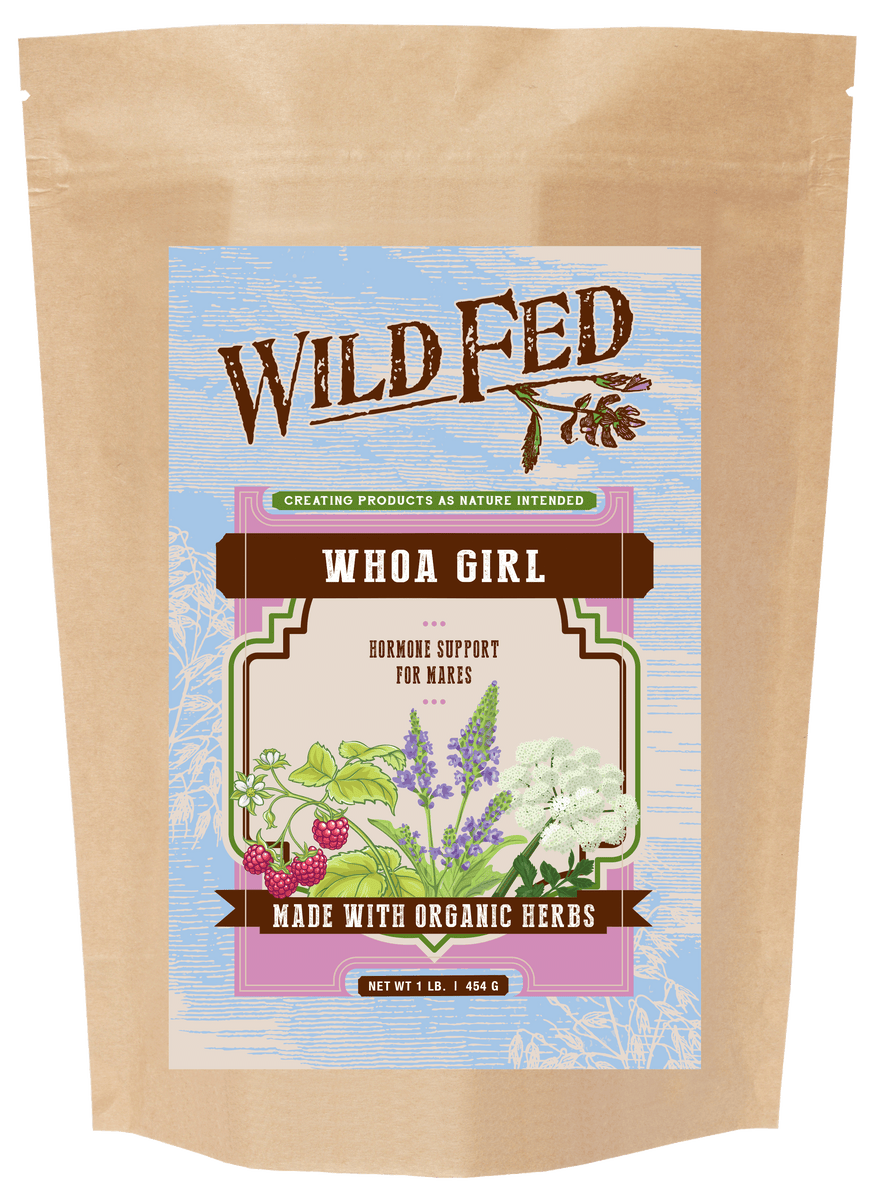 Wild Fed Horse